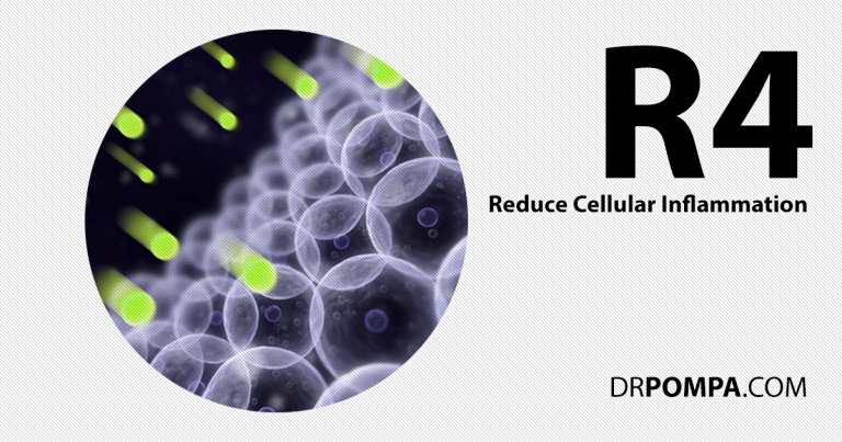 R4 Reducing Cellular Inflammation Oxidative Stress & Nitric Oxide Cycle ...